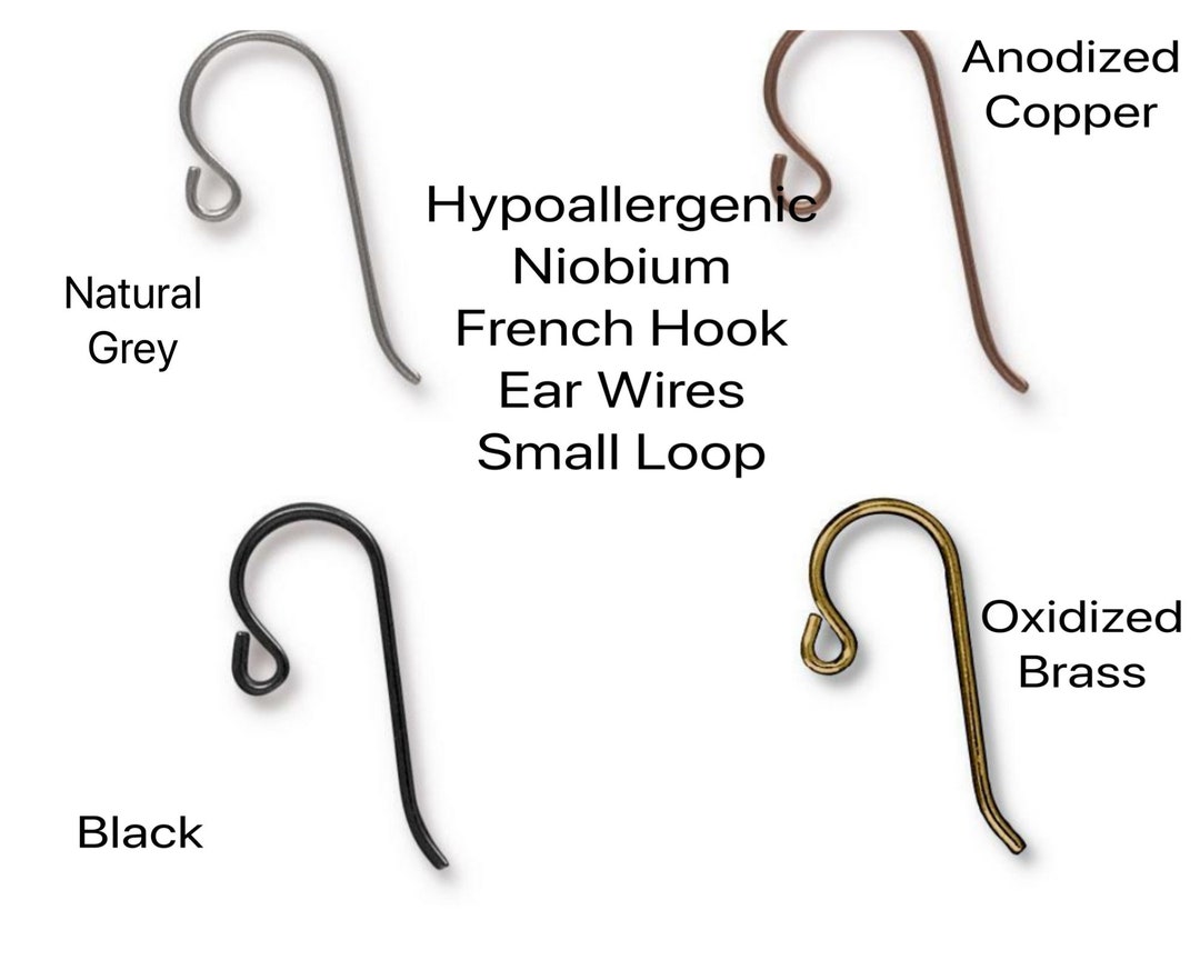 Niobium, 2 Pair French Hook Ear Wires, Small Loop, Hypoallergenic, Grey ...