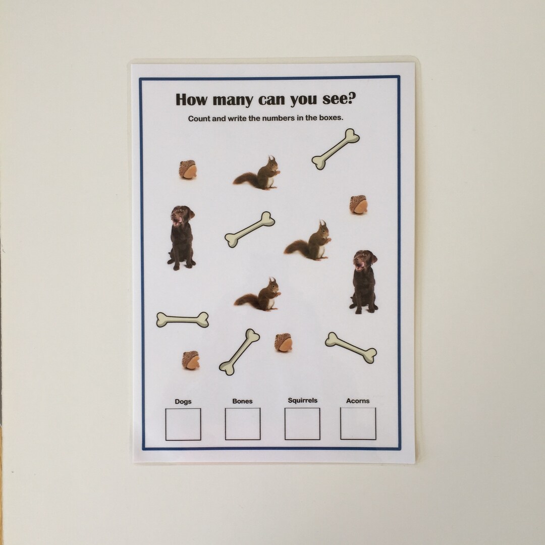 How Many Can You See? Count & Write- FREE Shipping,maths,counting ...