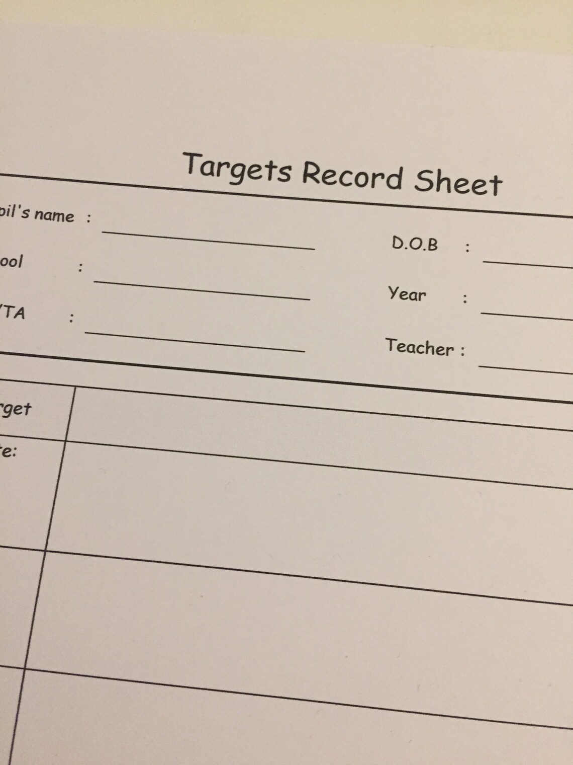 Targets Record Sheet Speech and Language Behavioral Therapy - Etsy