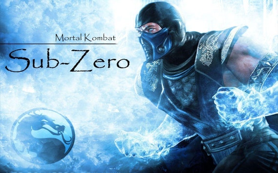 Sub Zero Mortal Kombat 9 Cosplay