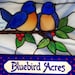 Bluebird Stained Glass Pattern, Bluebirds Design for Stained Glass ...