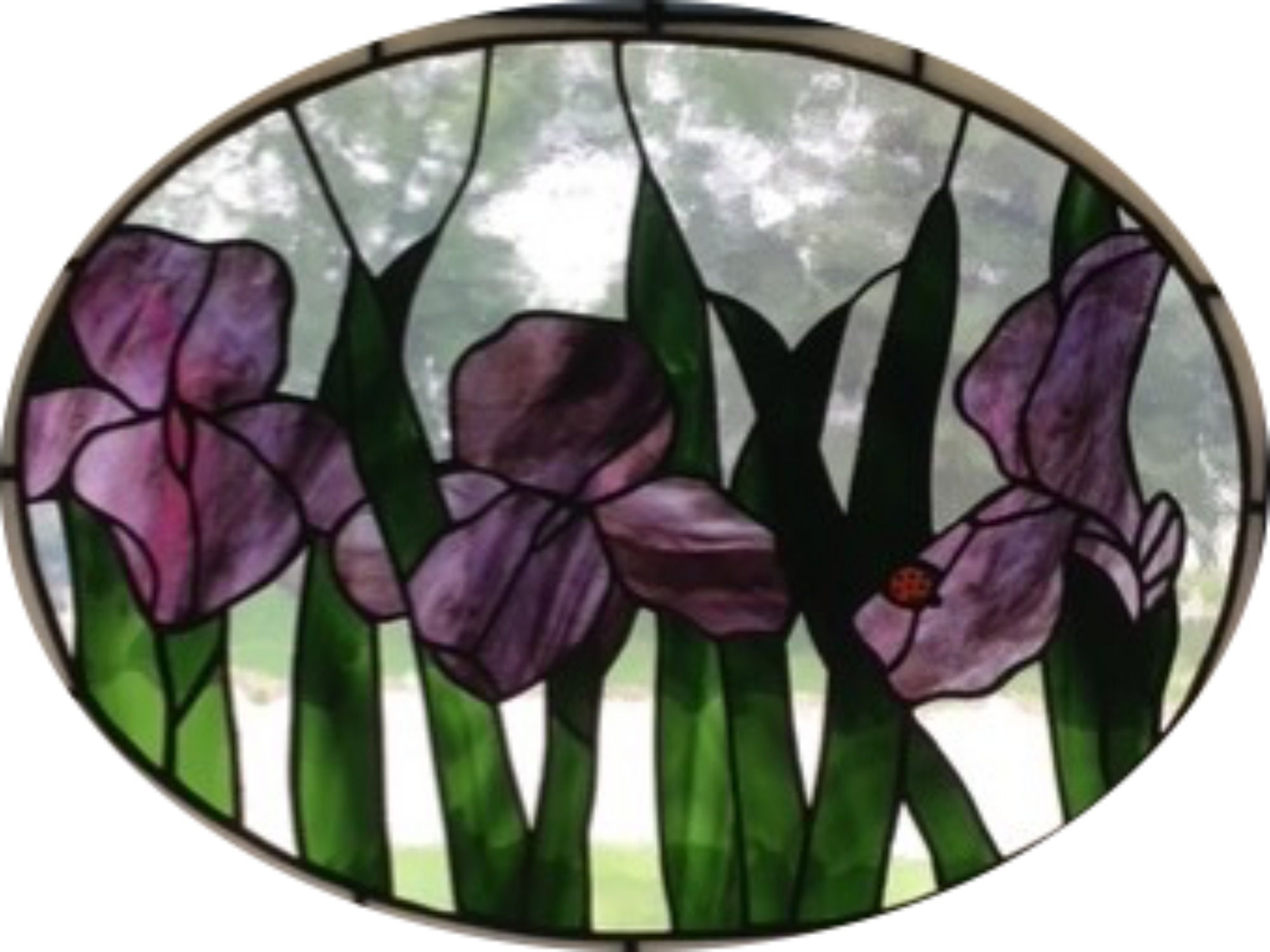 Iris Ladybug Stained Glass Pattern, Digital Download, Stained Glass ...