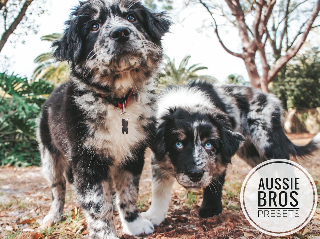 Aussie Bros LR Mobile Preset Pack - 12 Lightroom Mobile Presets - Etsy