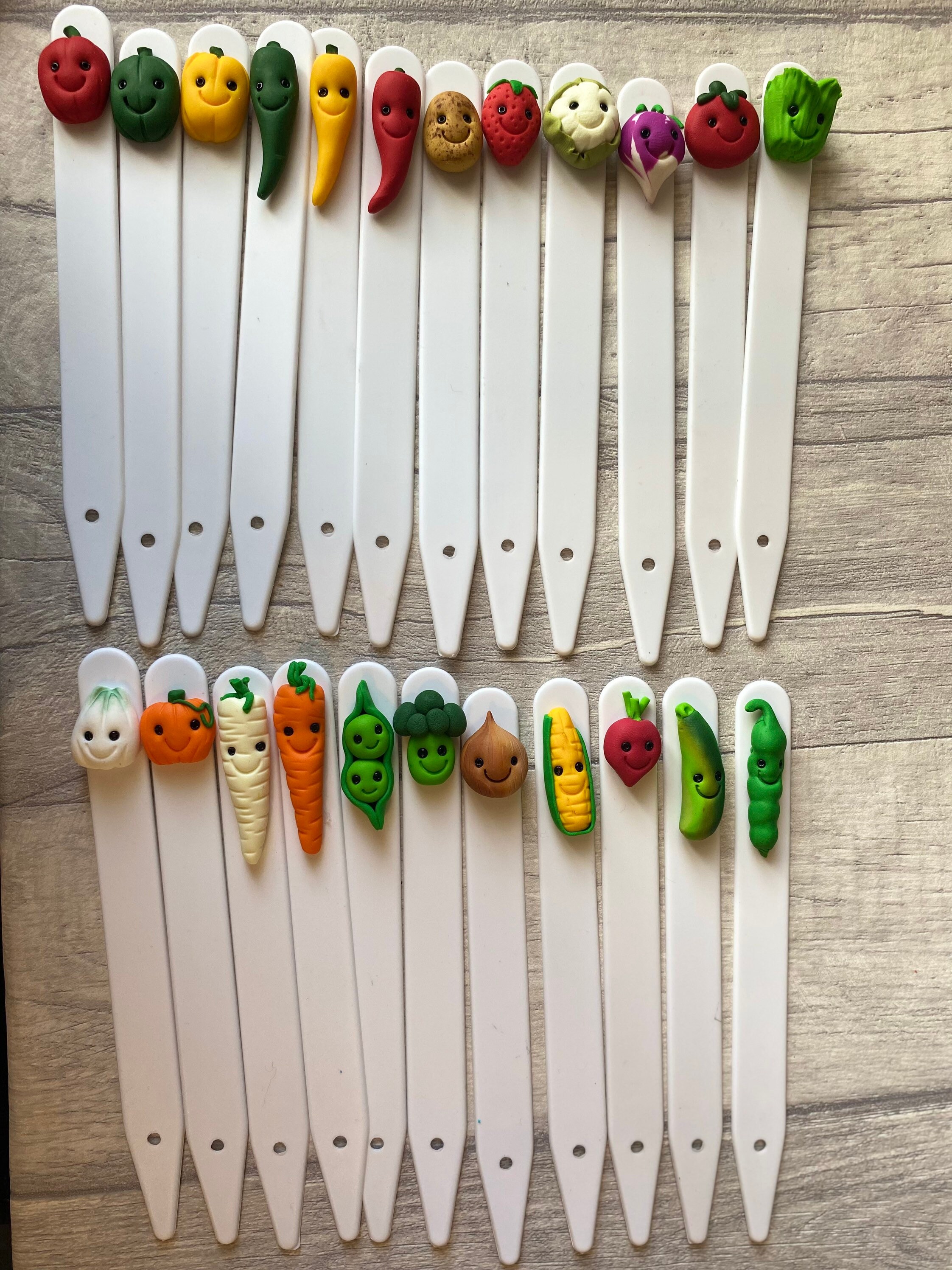 Vegetable Plant Markers Allotment Garden Seedling Label - Etsy UK