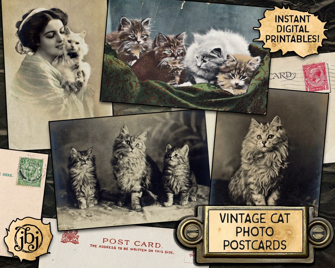 Vintage Cat Photo Postcards - Digital Download Printables - Etsy