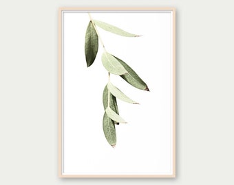 Botanical Wall Art,plant Decor,leaf Poster,botanical Print,living Room ...
