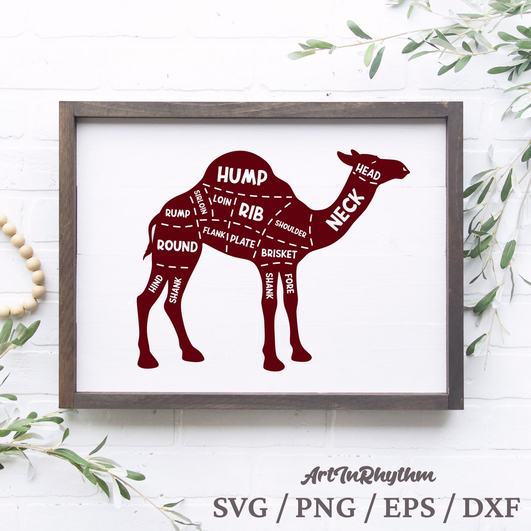 Butcher Meat Chart, Camel Meat Chart Svg, Kitchen Meat Chart, Camel ...
