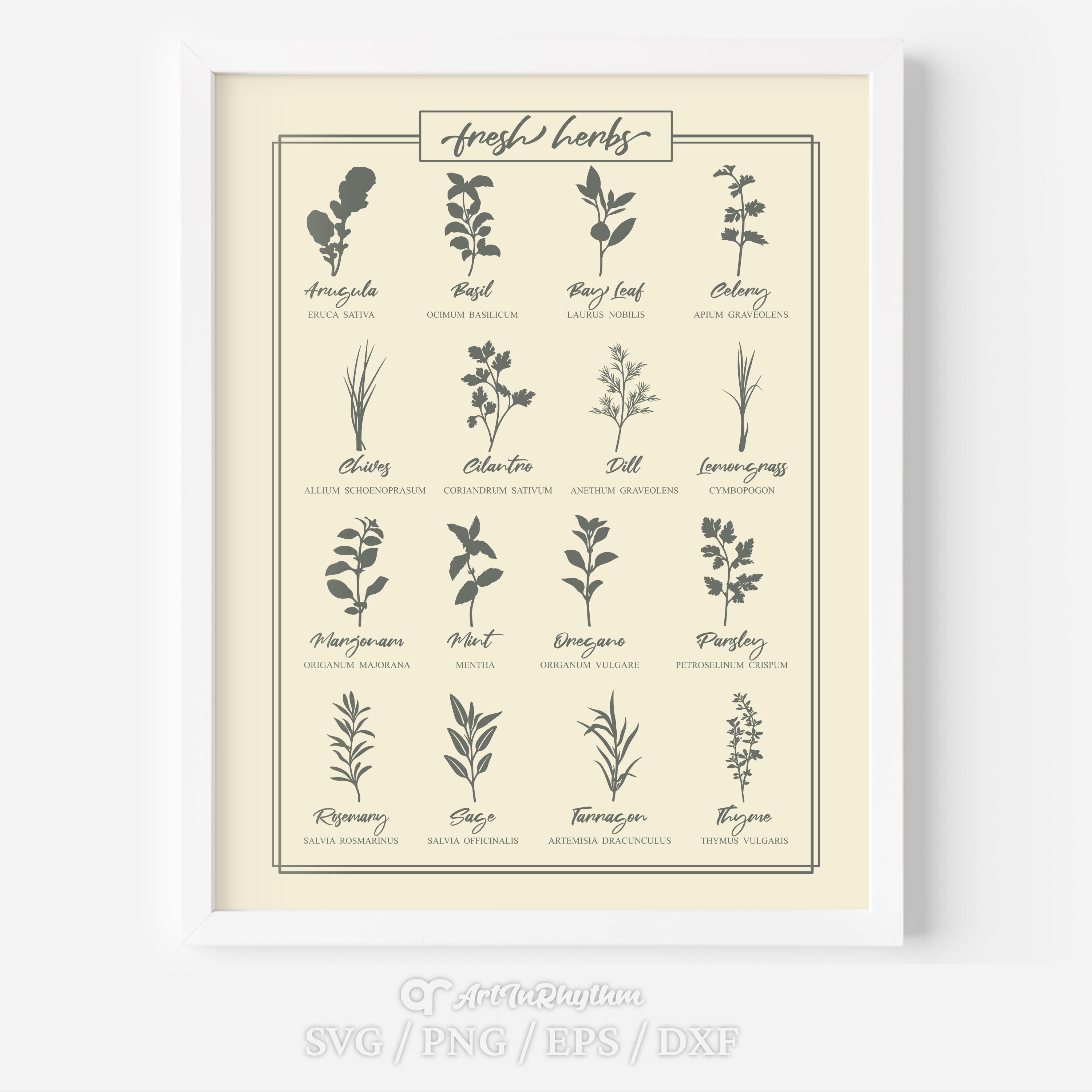 Herbs Svg, Herb Svg Bundle, Fresh Herbs Svg, Kitchen Herbs Svg, Herb ...