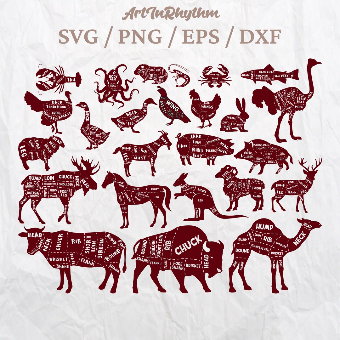 25 Butcher's Cut Meat Chart Svg Bundle, Meat Cuts Guide, Meat Shop ...