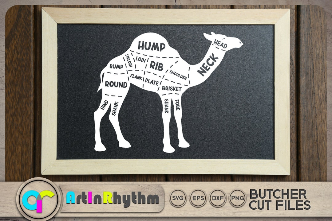 Butcher Meat Chart Camel Meat Chart Svg Kitchen Meat Chart - Etsy