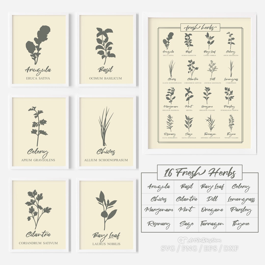Herbs Svg, Herb Svg Bundle, Fresh Herbs Svg, Kitchen Herbs Svg, Herb ...