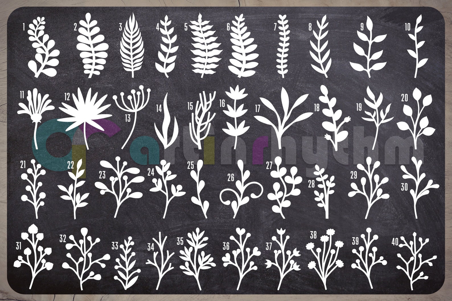 Leaves Svg Bundle Botanical Svg Bundle Plants Svg Bundle - Etsy