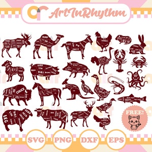 25 Butcher's Cut Meat Chart Svg Bundle, Meat Cuts Guide, Meat Shop ...