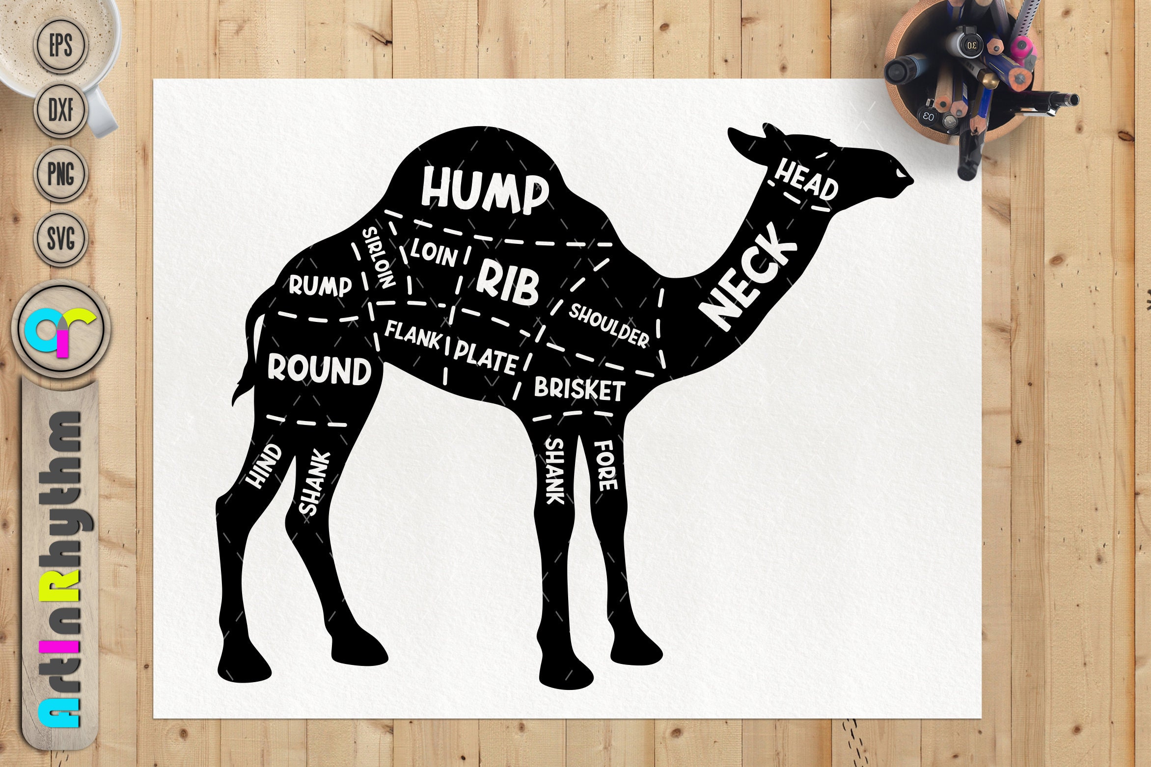 Butcher Meat Chart Camel Meat Chart Svg Kitchen Meat Chart | Etsy