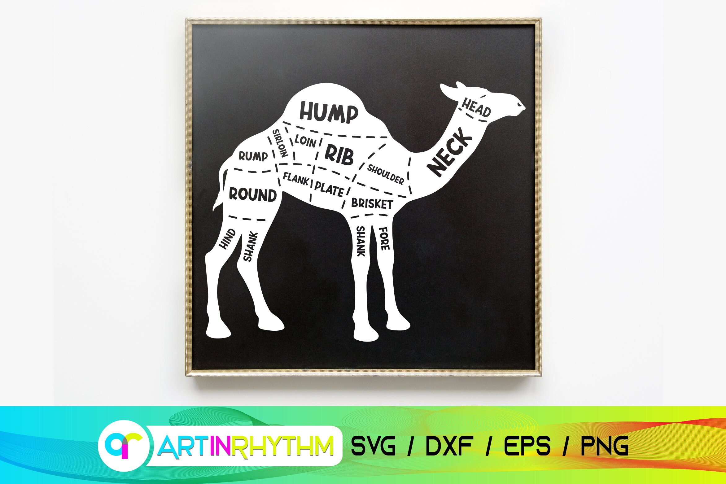 Butcher Meat Chart Camel Meat Chart Svg Kitchen Meat Chart | Etsy