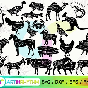 25 Butcher's Cut Meat Chart Svg Bundle Meat Cuts Guide | Etsy