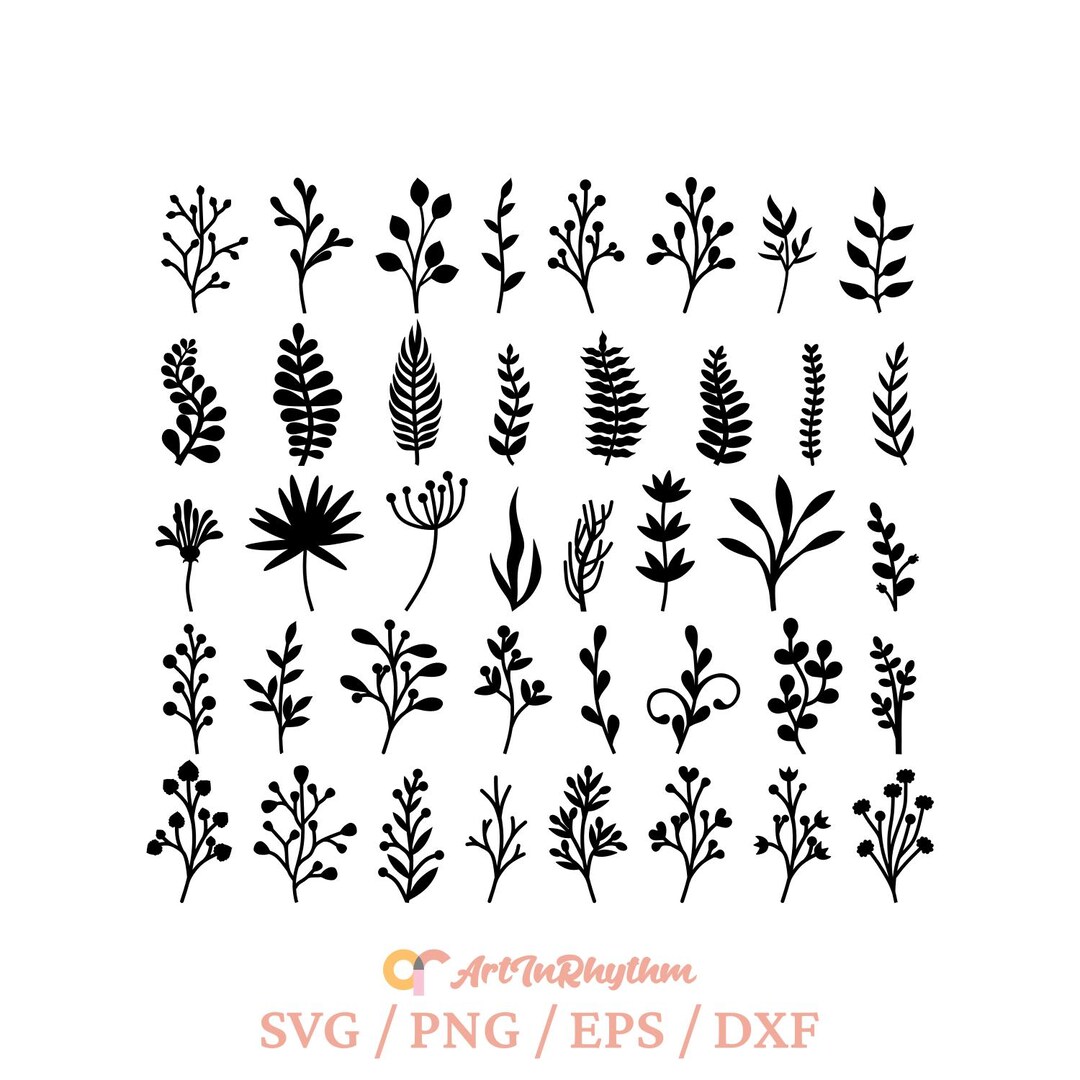 Leaves Svg Bundle, Botanical Svg Bundle, Plants Svg Bundle, Branch Svg ...