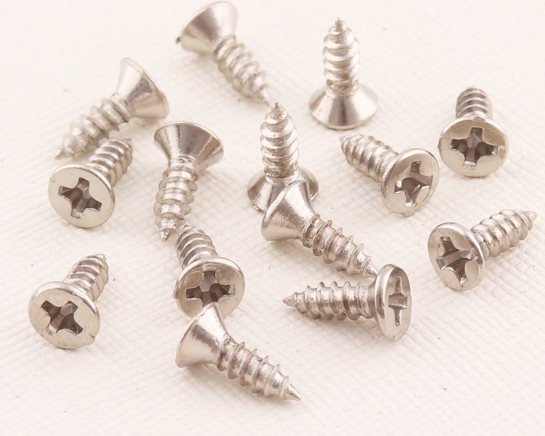 Cross Head Decorative Screws/silver Wood Screws/drywall - Etsy