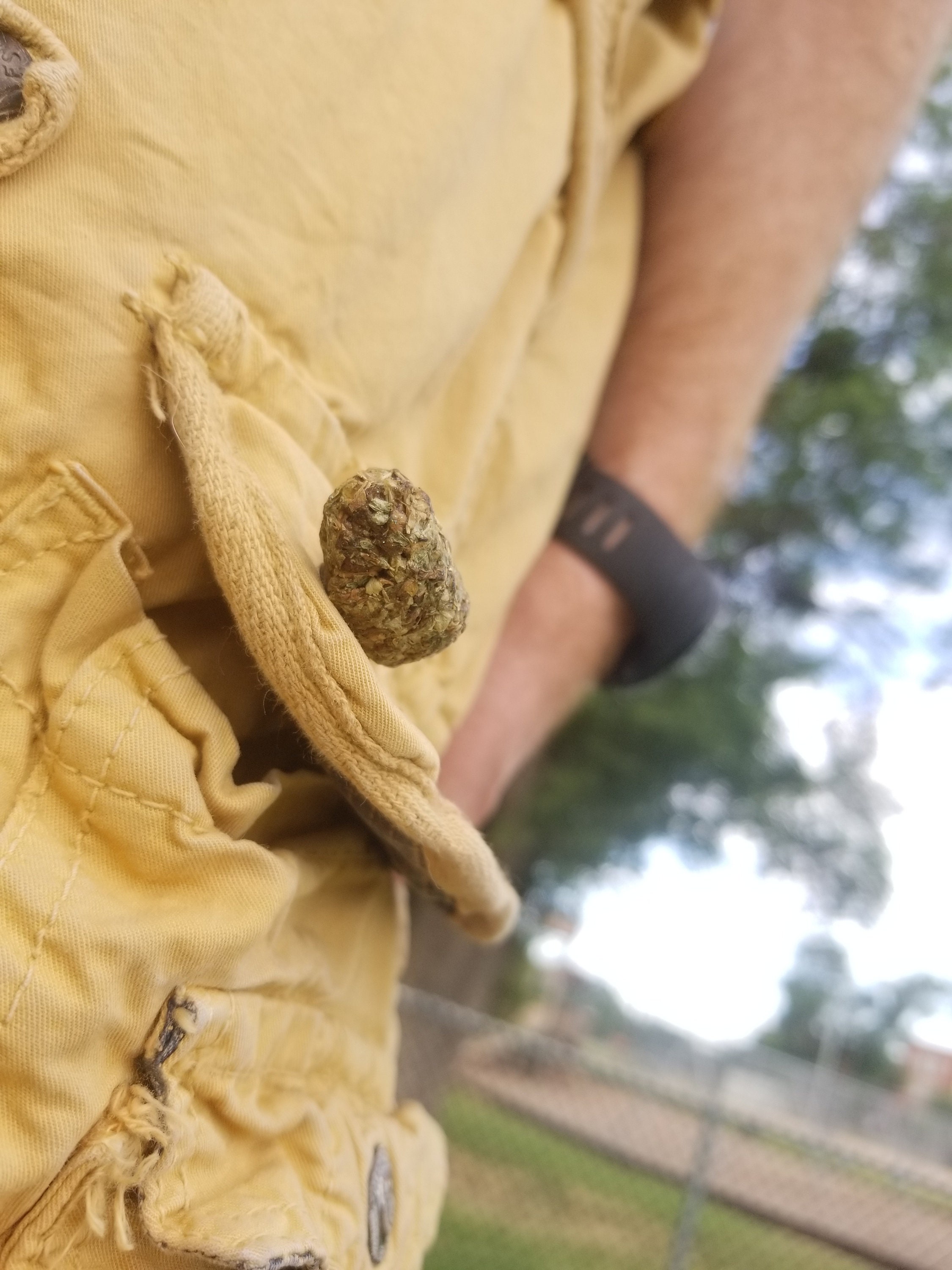 Weed Hat Pins Weed Pin Hat Pin 420 Weed Bud Flower Bud - Etsy