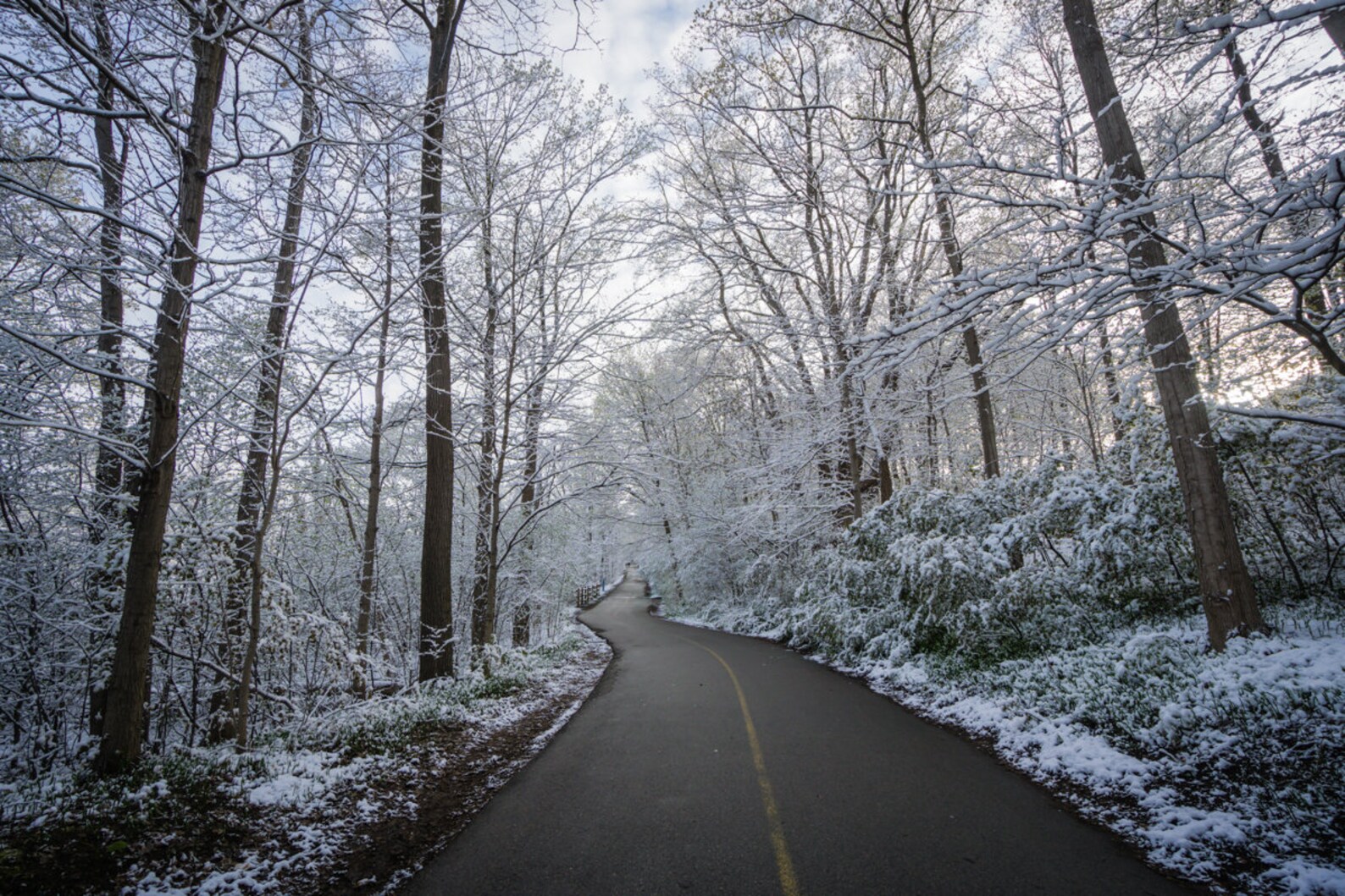 Winter Road Digital Download, Wall Art, Road Scene - Etsy