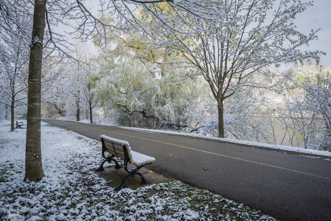 Winter Park Bench Digital Download, Wall Art, Bench Scene - Etsy