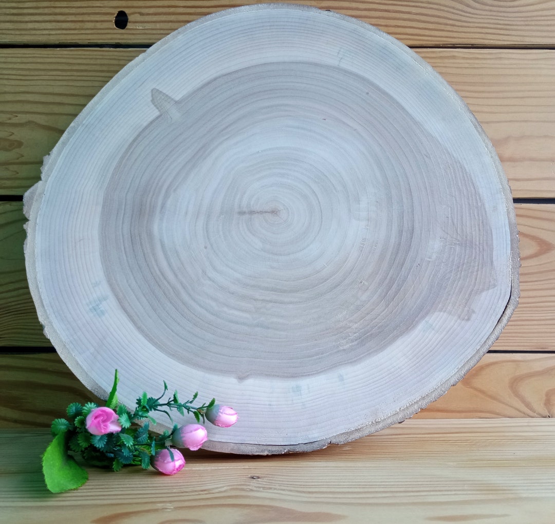 15 Inch Large Tree Slices Wooden Coasters Raw Wood Slices of Wood With ...