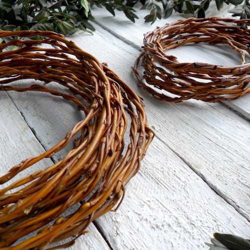 Willow Branches Wreath Dreamcatcher Hoop - Etsy