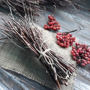 8" Birch Tree Sticks Twigs 3 Bundles Decorative Birch Wood Decor Forest ...