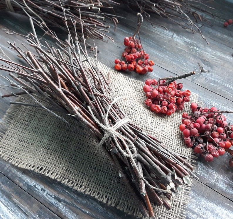 8 Birch Tree Sticks Twigs 3 Bundles Decorative Birch - Etsy