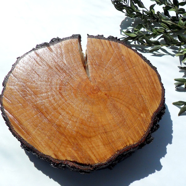 Tree Trunk Slices - Etsy