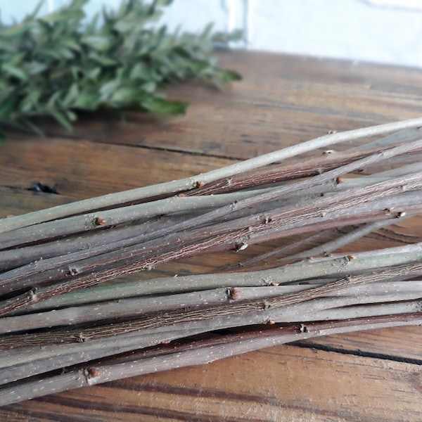 Brown Twigs - Etsy