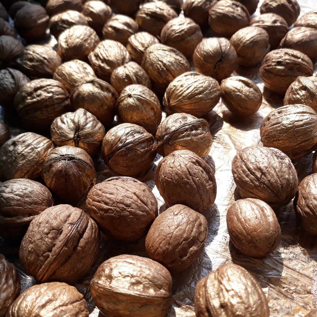 Golden Walnut Tree Ornament Set of 10 Christmas Walnut Tree Decor Gold ...