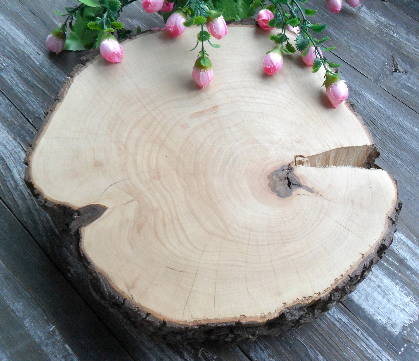 10.63 Treated Wood Cookies Rustic Wood Slices Wood Round - Etsy UK
