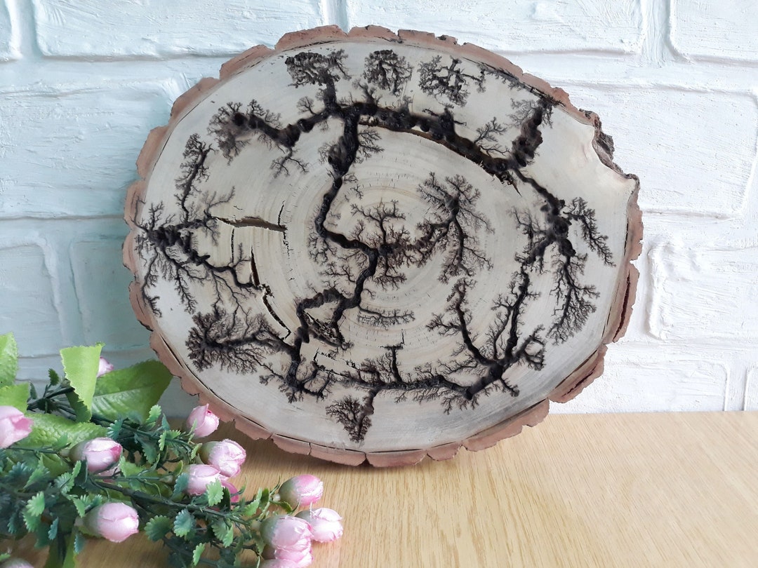 11 Wood Slice Burn Lightning Litchenberg Art High Voltage Wood Burn ...