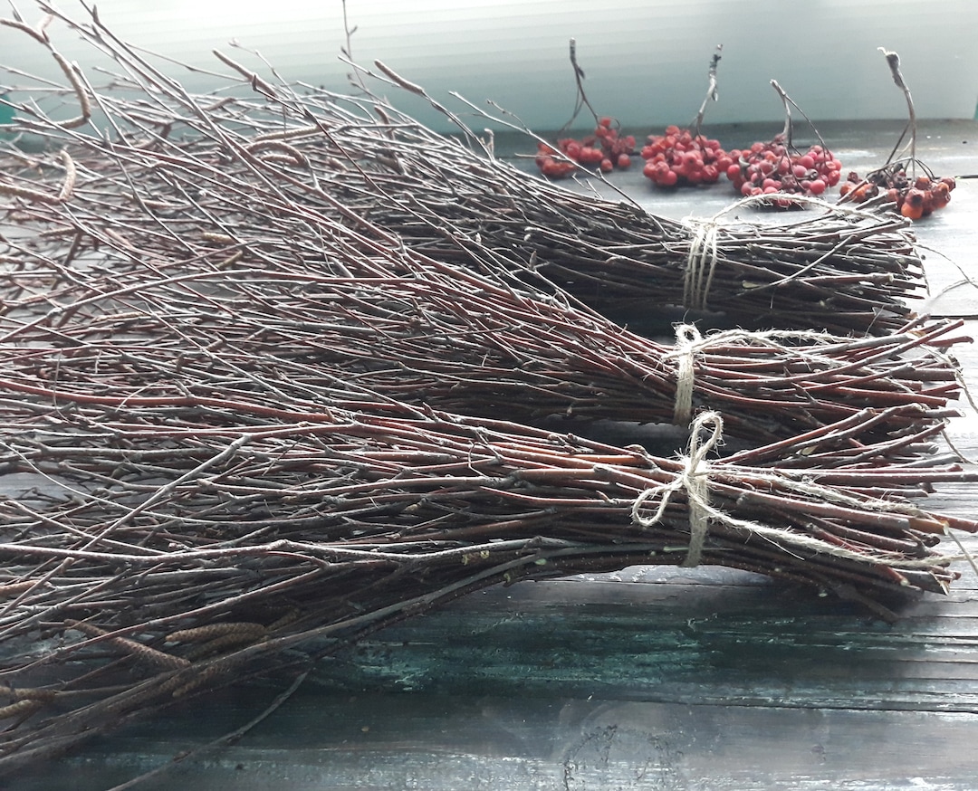 Birch Twig Bundle: Natural Rustic Home Decor (20-24" Long) - Etsy