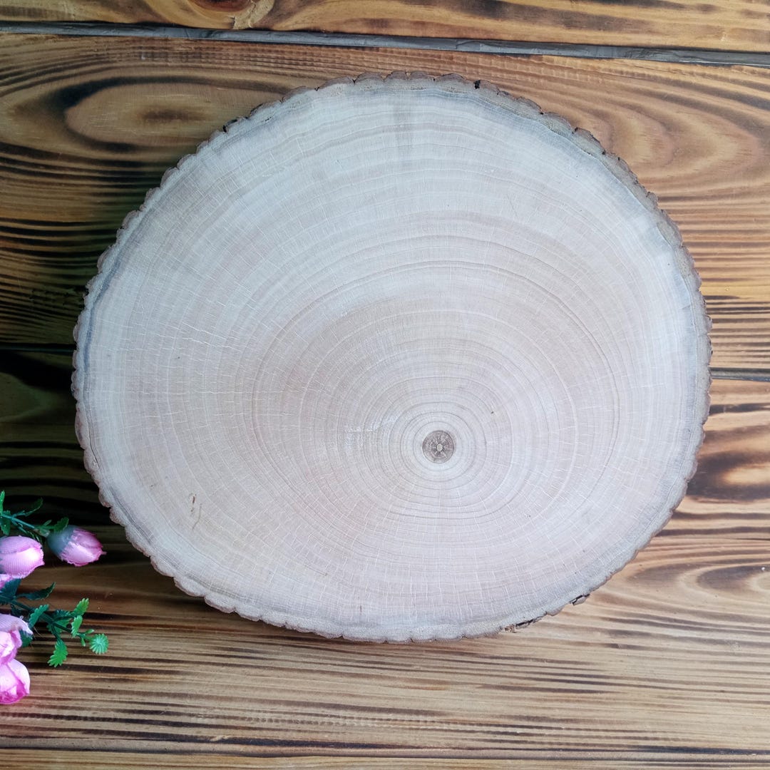 10" Natural Wood Slice Rustic Wood Round Blank Wood Slab Table ...