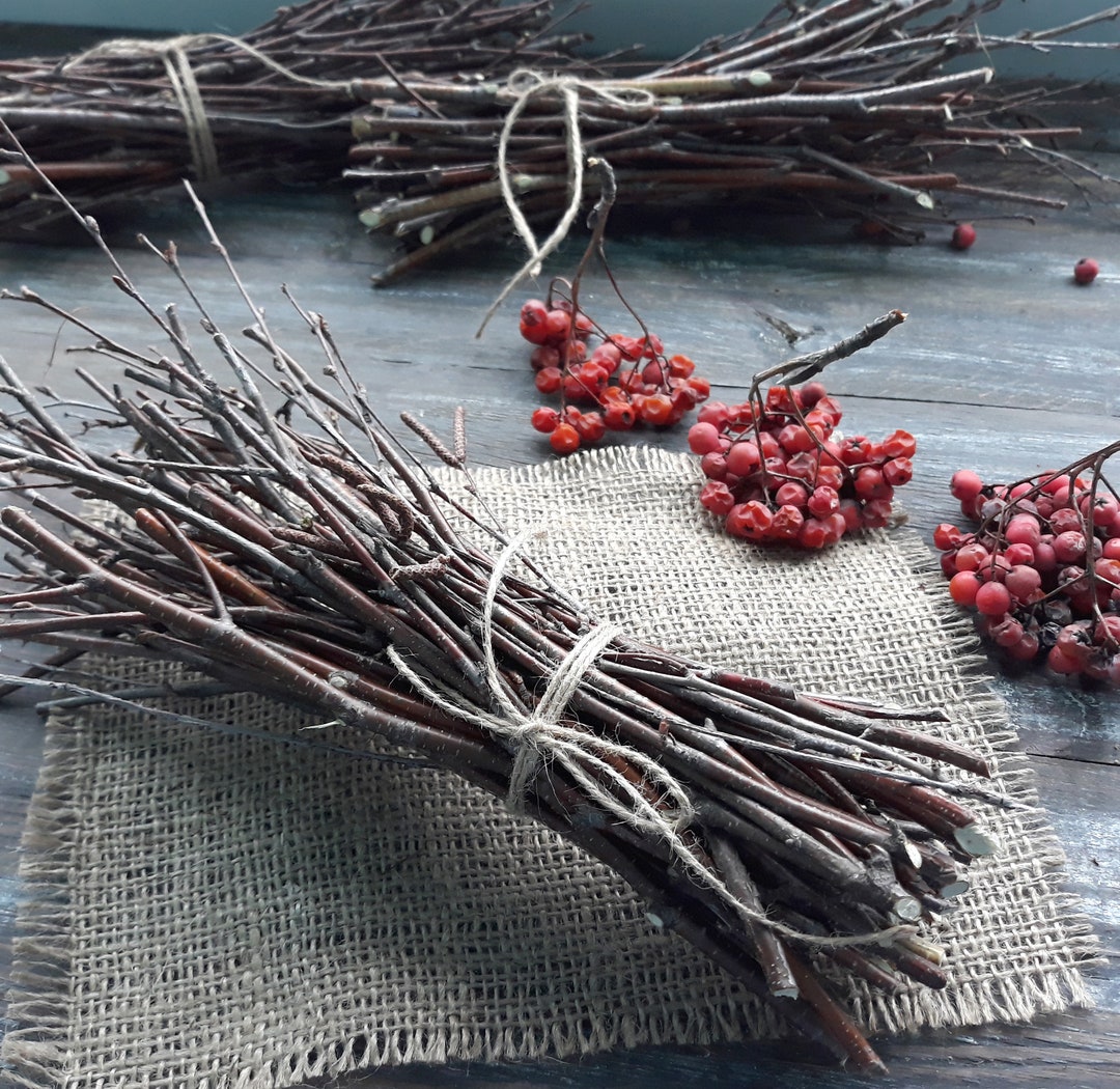 8" Birch Tree Sticks Twigs 3 Bundles Decorative Birch Wood Decor Forest ...