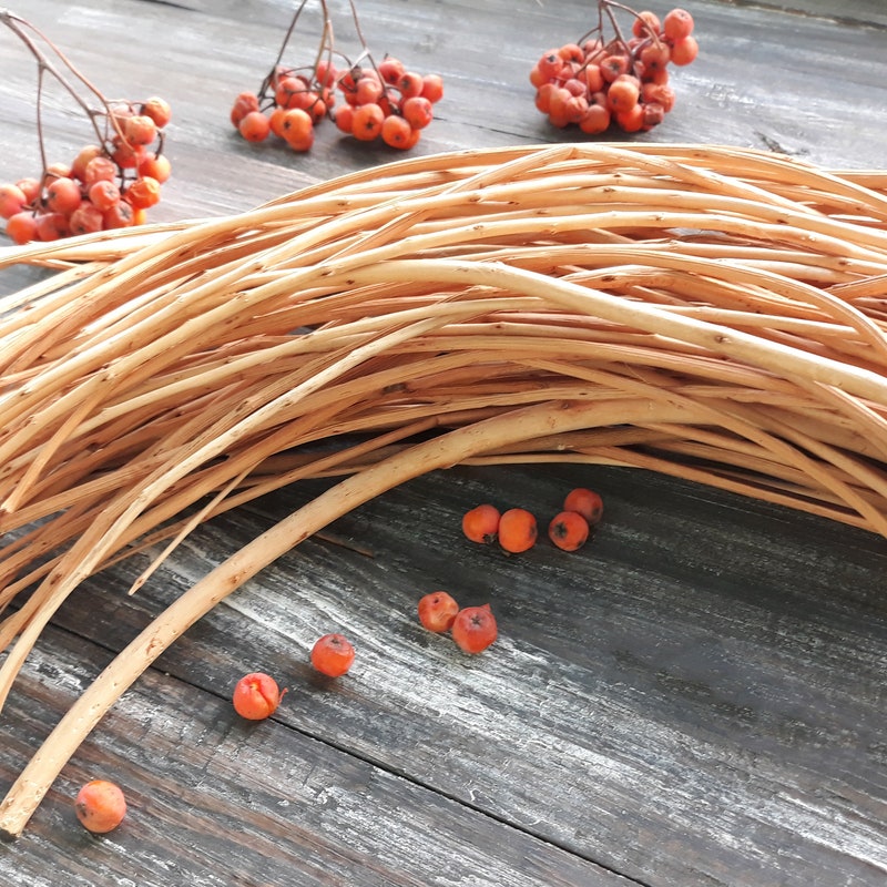 Lighted Twigs - Etsy