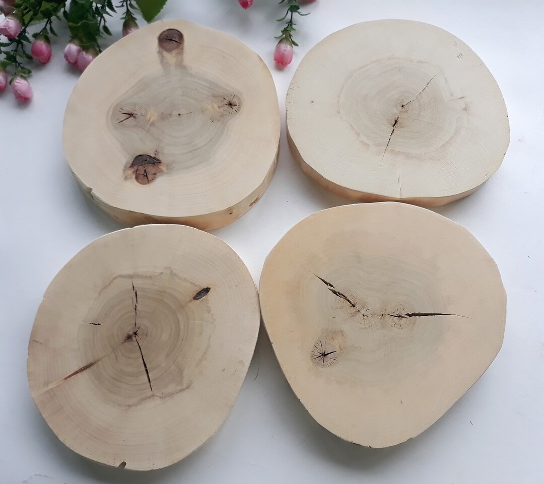 7.09 Wood Slab Cake Base Wood Stump Cake Holder Hardwood Tree Slice ...