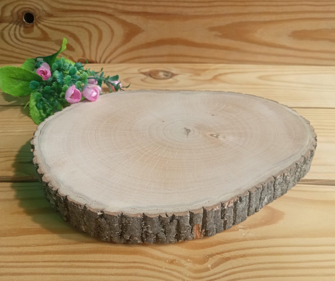 Large Tree Slice, 10 Inch Wood Round With Bark Edge - Etsy Canada