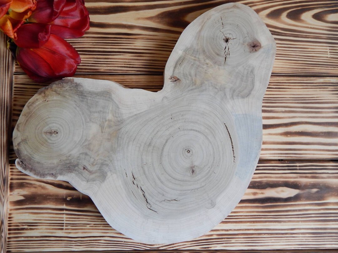 16" Large Tree Slices for Tables Round Wood Discs Wooden Slices Rustic ...