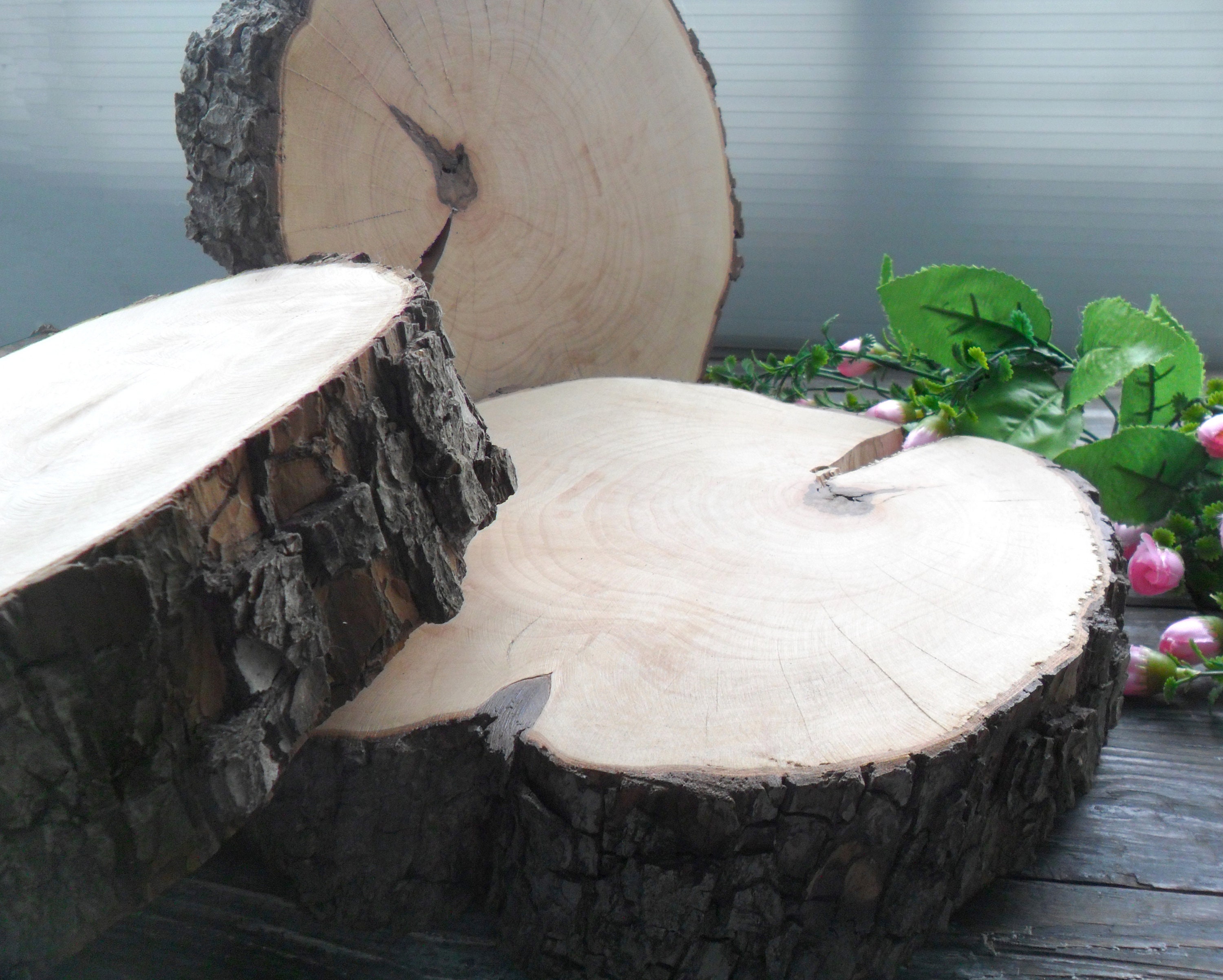 10.63 Treated Wood Cookies Rustic Wood Slices Wood Round - Etsy Australia