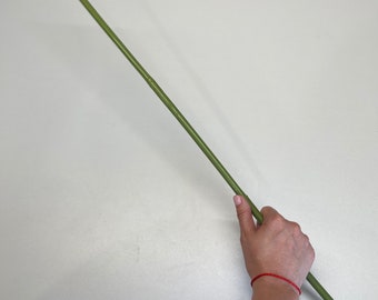 Bamboo Spanking Cane | Etsy