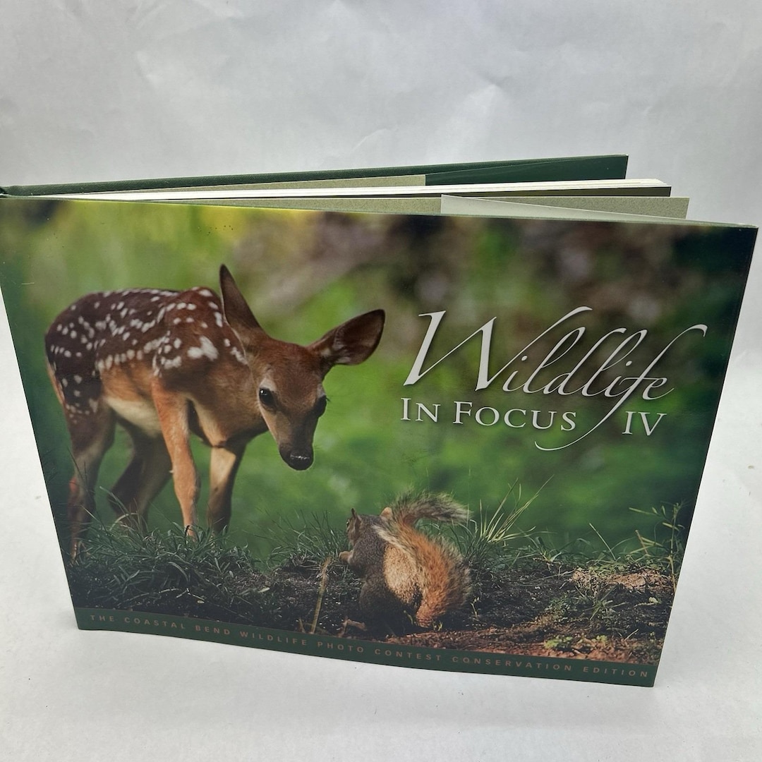 Wildlife in Focus IV (conservation Edition) Hardcover - Etsy
