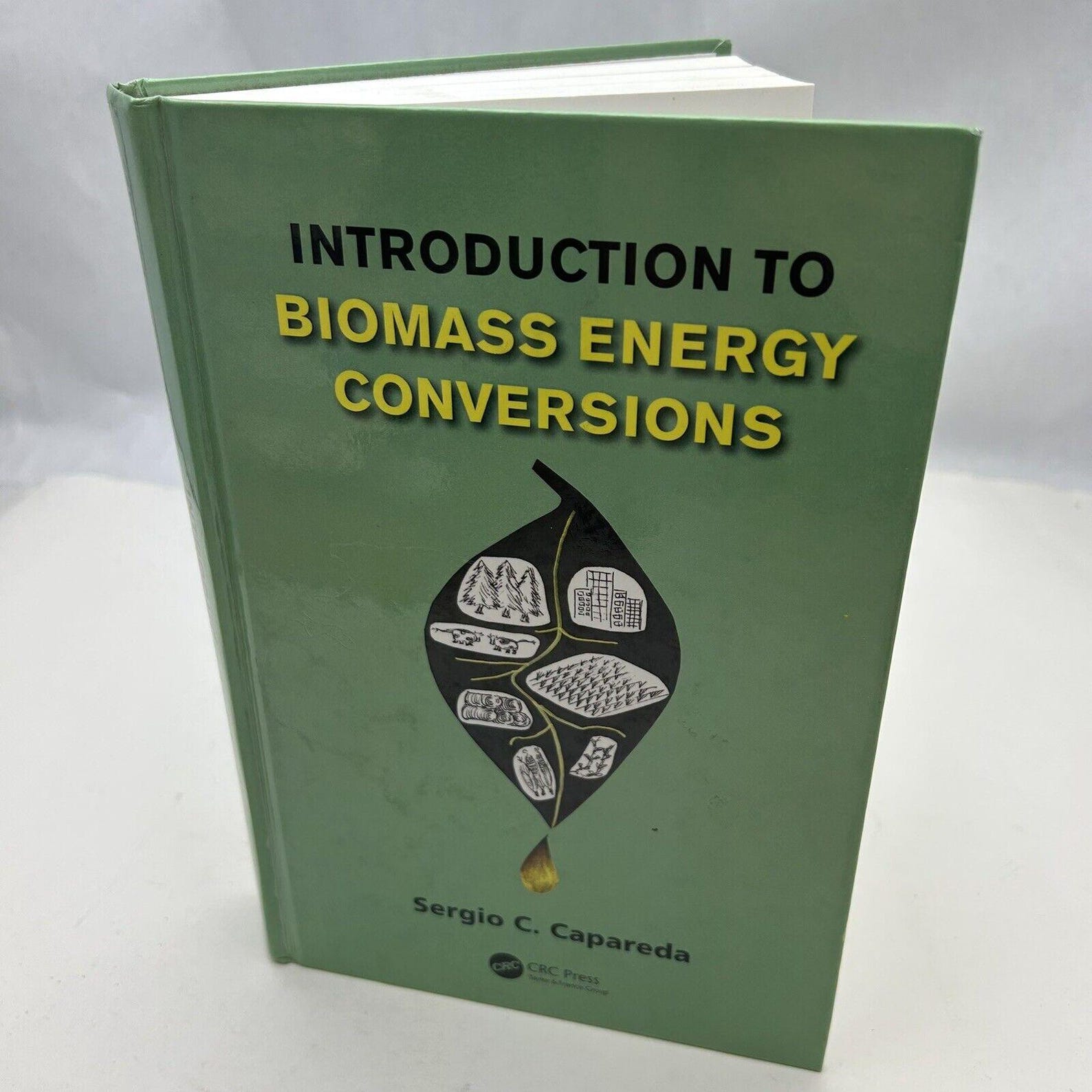 Introduction to Biomass Energy Conversions by Sergio Capareda ...