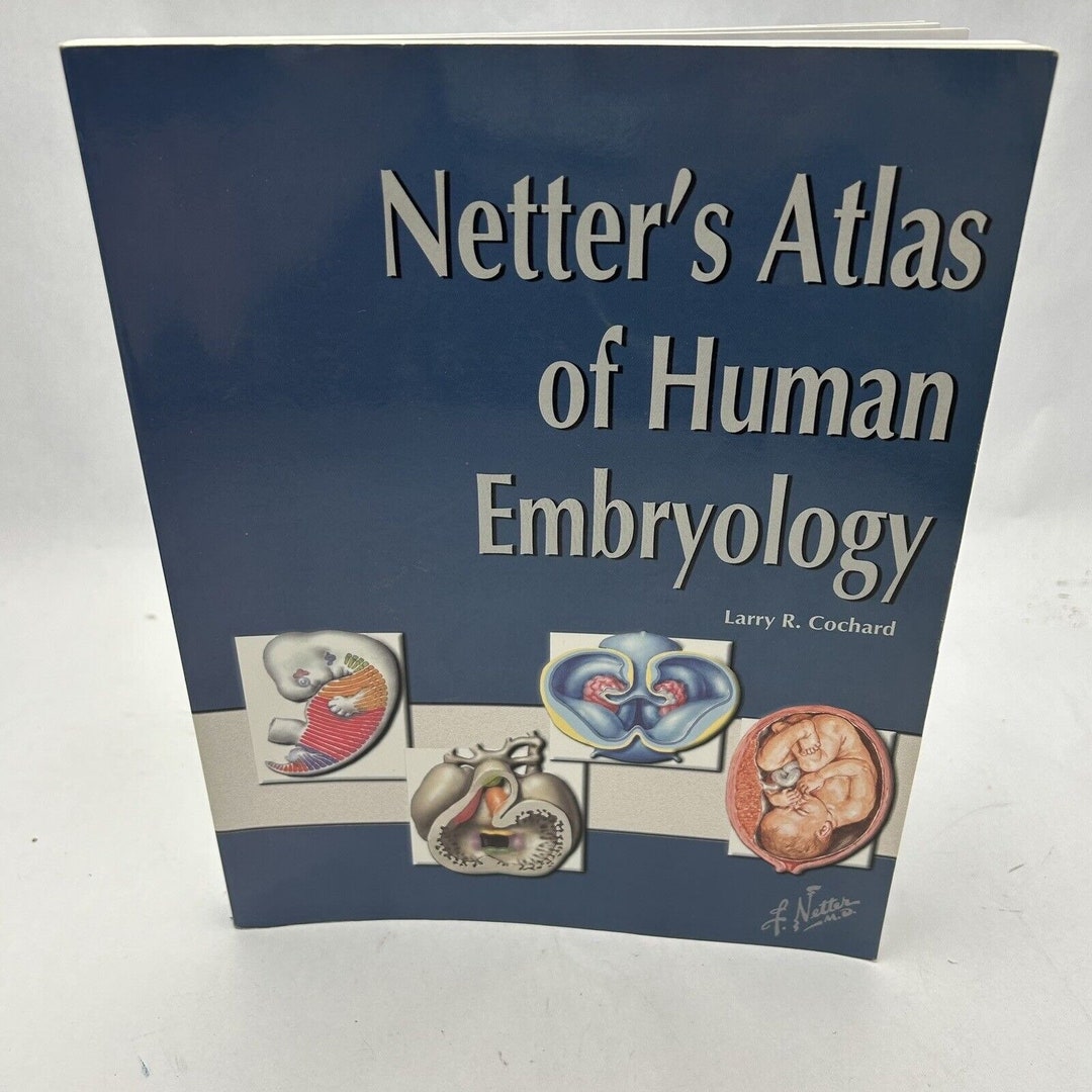 Netter's Atlas of Human Embryology, 1e (netter Basic Science) - Etsy