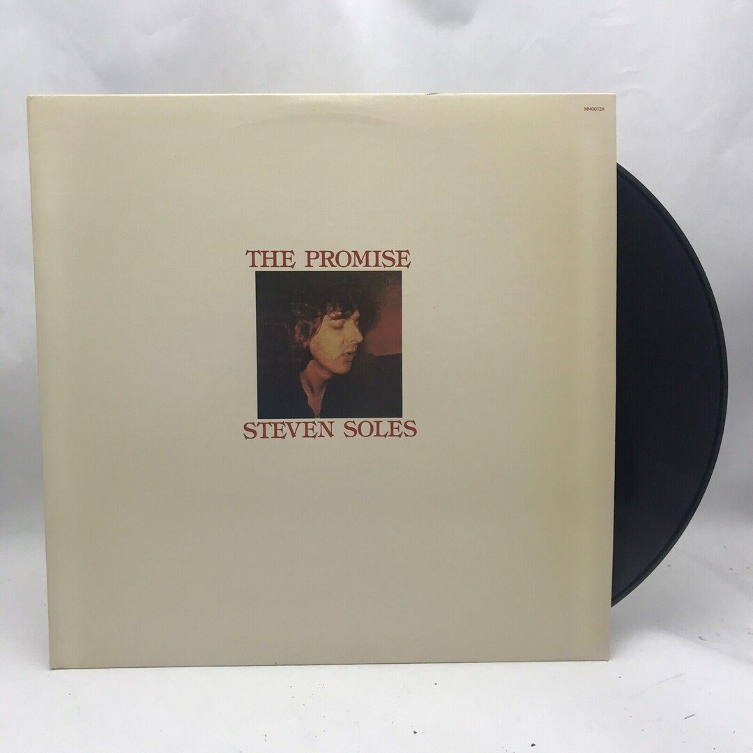 Steven Soles the Promise ORIGINAL Vinyl LP 1980 - Etsy