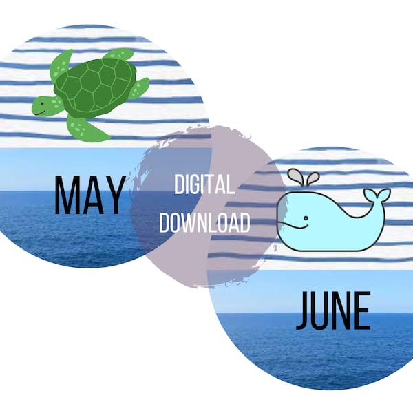 Ocean Theme Birthday Chart - Etsy