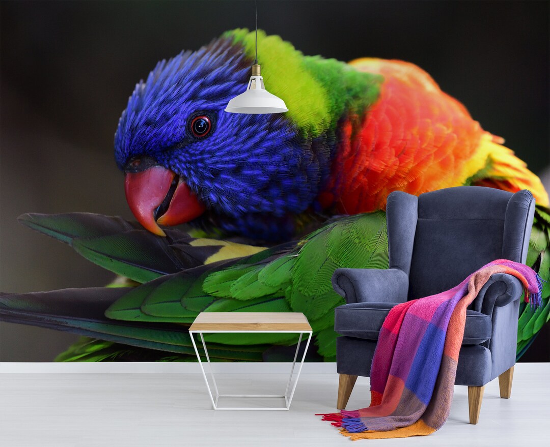 Wallpaper With a Colorful Parrot, Self Adhesive, Peel and Stick Floral ...