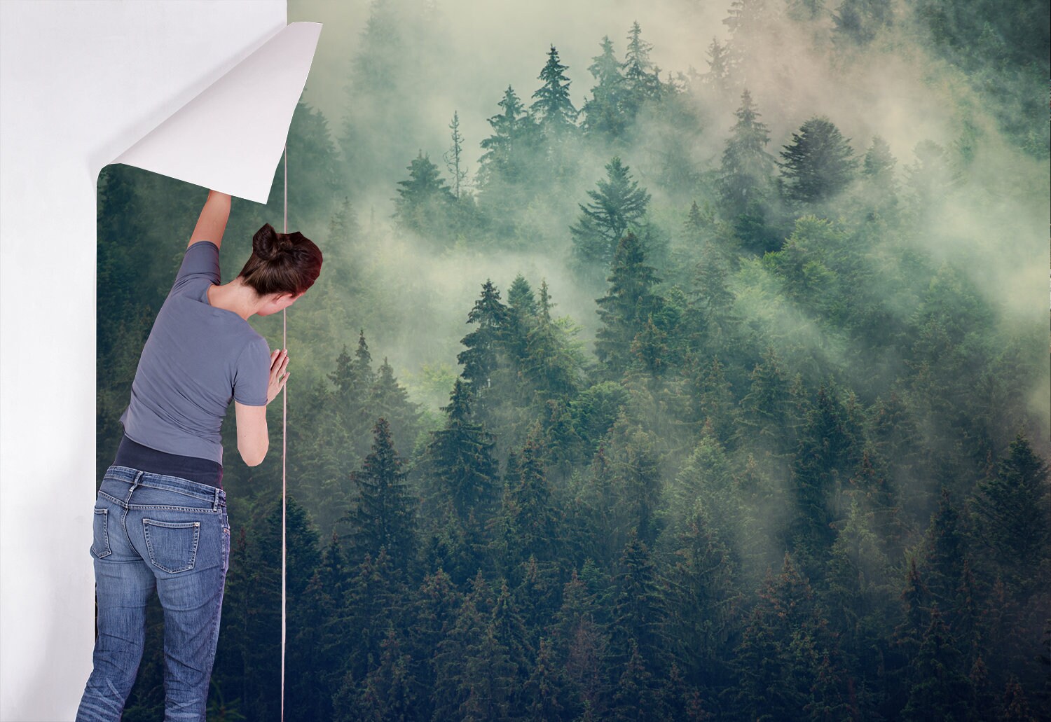 Print Painting Misty Landscape Wallpaperfoghome Decorwall - Etsy